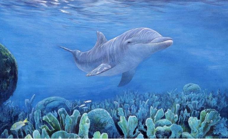 On the reef Painting by Robert Post | Saatchi Art