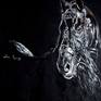 Horse head Drawing by Anna Sidi-Yacoub | Saatchi Art