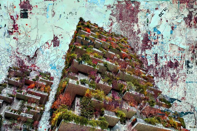 Vertical Forest I Photography by steven irwin | Saatchi Art