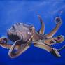 Octopus Painting by Davide RATZO Ratti | Saatchi Art