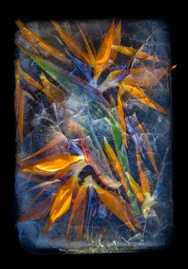 Bruce Boyd | Saatchi Art United Kingdom