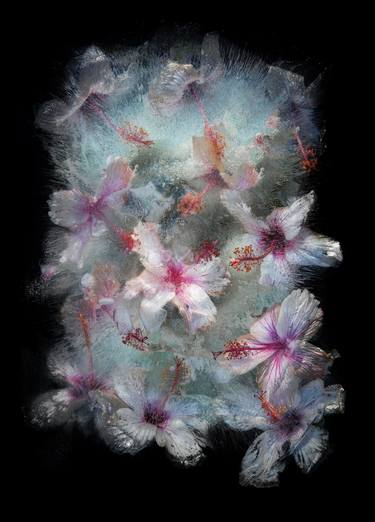 Bruce Boyd | Saatchi Art