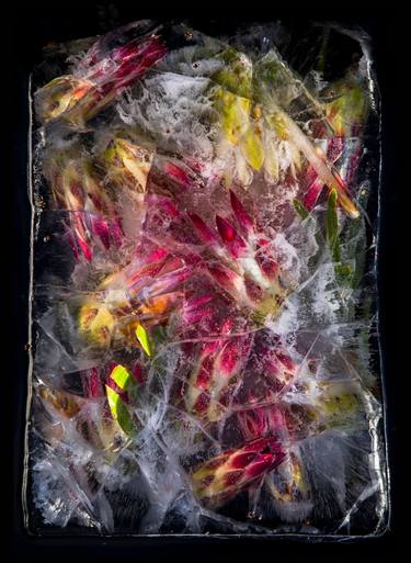 Bruce Boyd | Saatchi Art