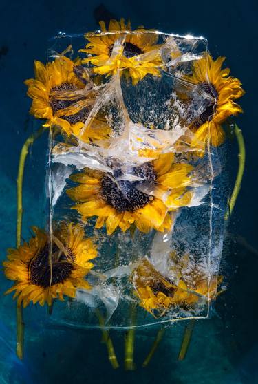 Bruce Boyd | Saatchi Art United Kingdom