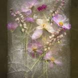 Bruce Boyd | Saatchi Art