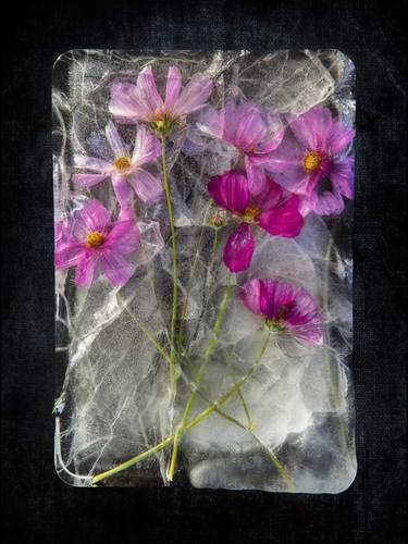 Bruce Boyd | Saatchi Art United Kingdom