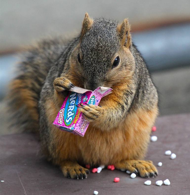 Nerds Photography by Paul Marto | Saatchi Art