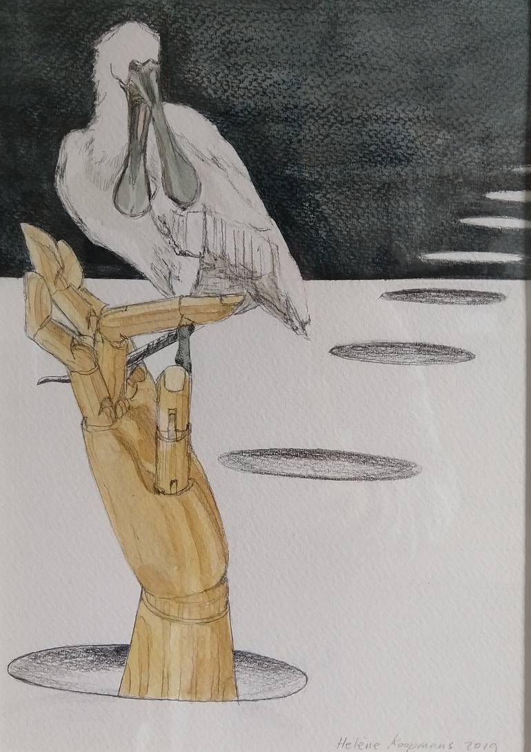 Platalea leucorodia Drawing by Helene Koopmans | Saatchi Art