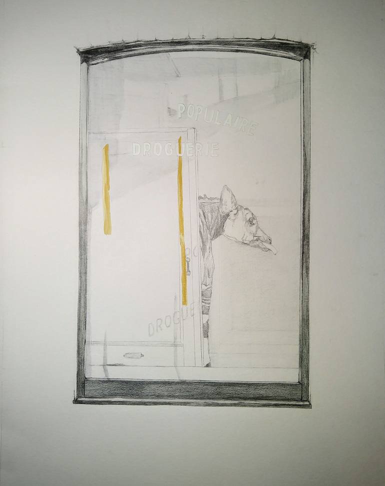 Okapi johnston Drawing by Helene Koopmans | Saatchi Art