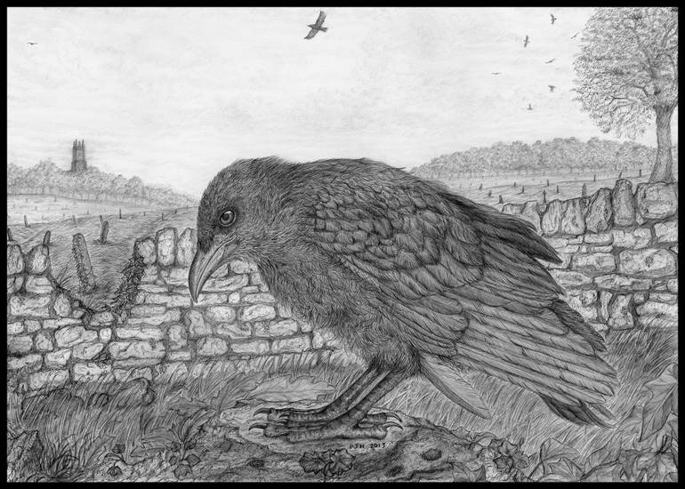 The Fledgling Drawing by Philip Harvey | Saatchi Art