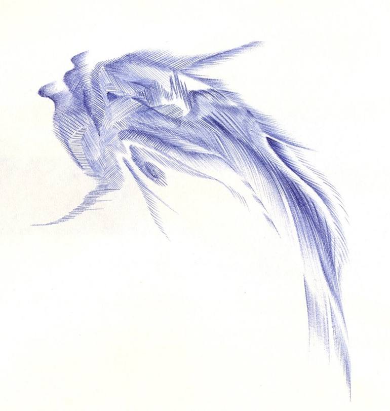 Flying fish Drawing by Ross Lawrence | Saatchi Art