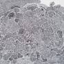 Bedazzle Drawing by Rebecca Jacoby | Saatchi Art