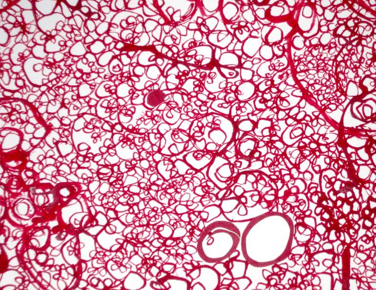 Redress Drawing by Rebecca Jacoby | Saatchi Art