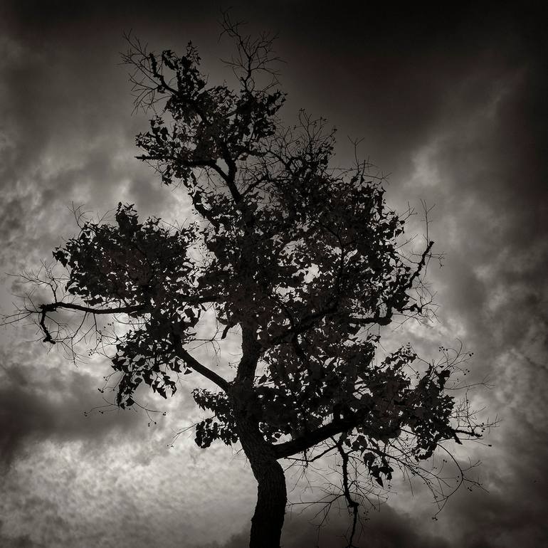 222 Photography by Carlos Ocando | Saatchi Art