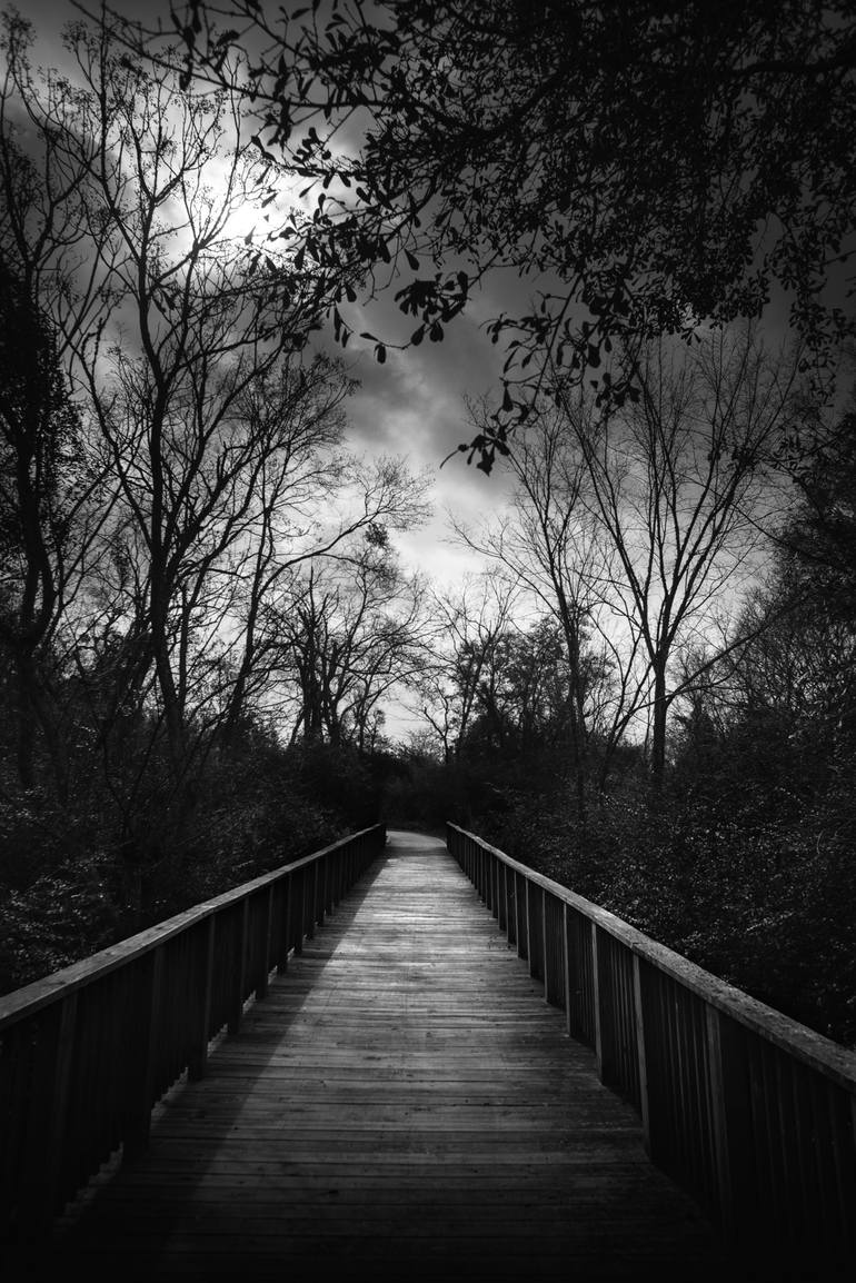 Inner Society Photography by Carlos Ocando | Saatchi Art