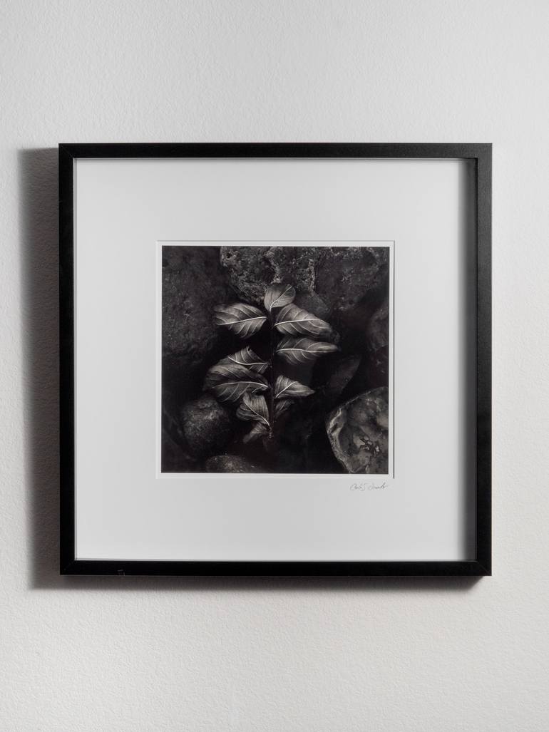 Inner Joy - Limited Edition of 25 Photography by Carlos Ocando ...