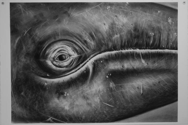 Gray Drawing by Fiona Hawkes | Saatchi Art