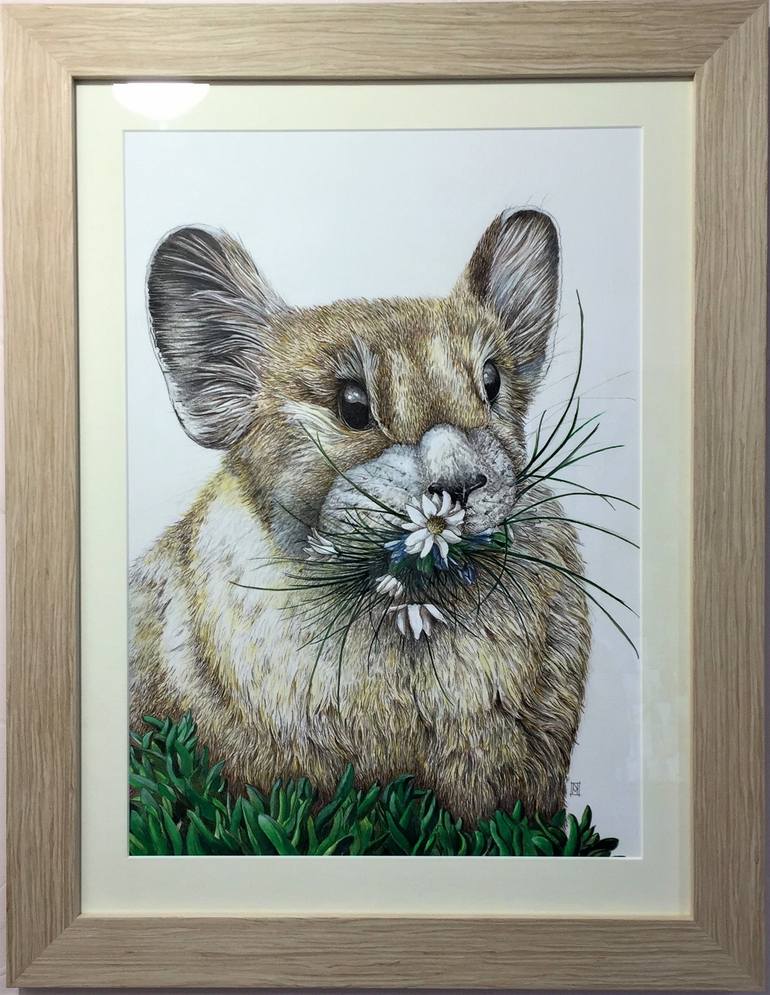 Little Chief Hare Drawing by Nikki Mcivor | Saatchi Art