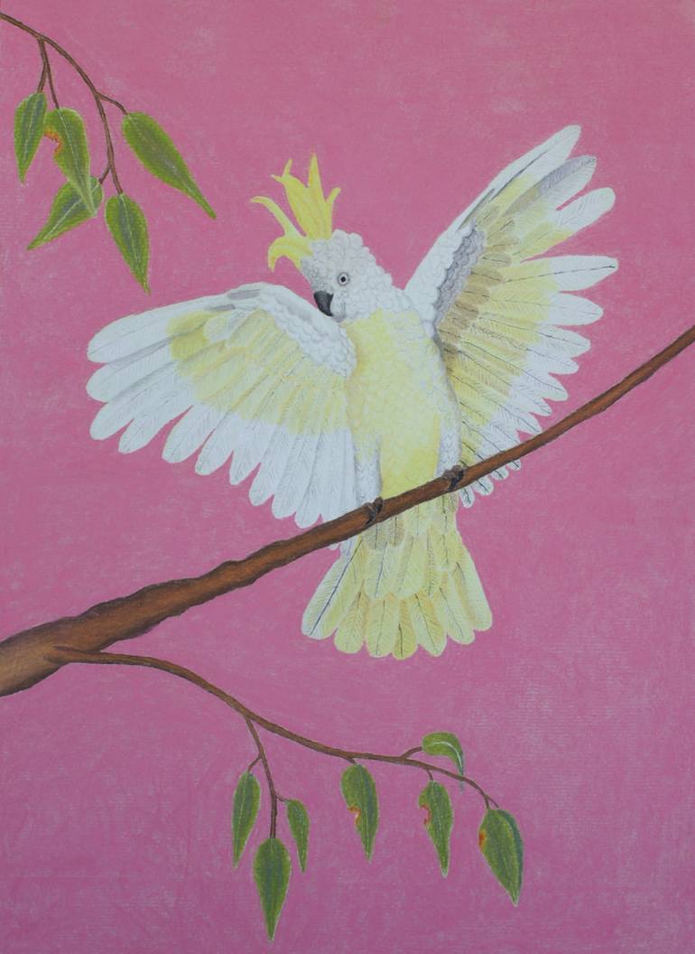 Beautiful Cockatoo Drawing by Brian Leverton | Saatchi Art