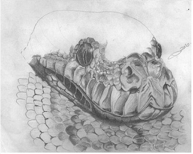patience Drawing by cat wooler | Saatchi Art