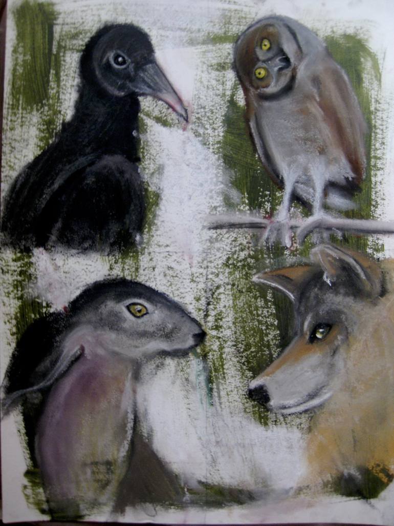 Black Head Vulture series Painting by Helen Macfarlane | Saatchi Art