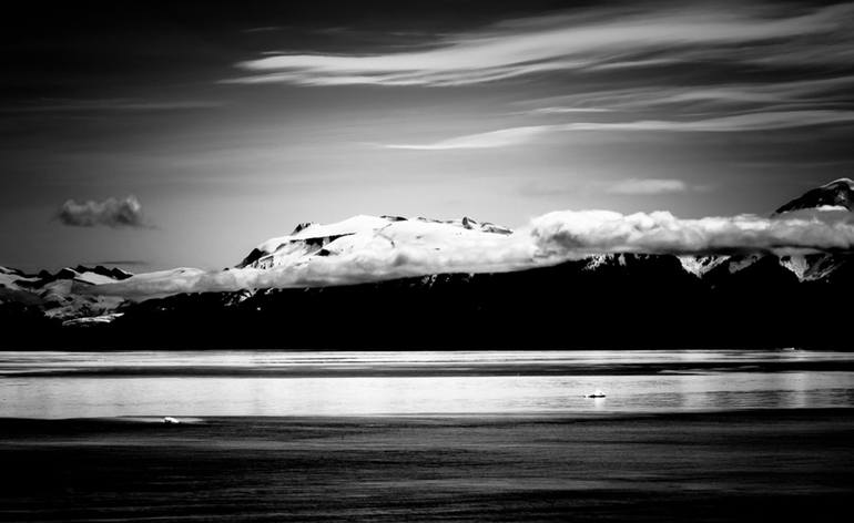 Wild Beauty - Limited Edition of 25 Photography by Beth Wold | Saatchi Art