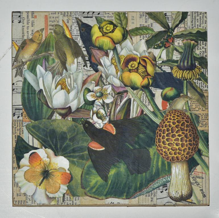 Red Winged Black Bird and Lotus Collage Collage by Thomas Terceira ...