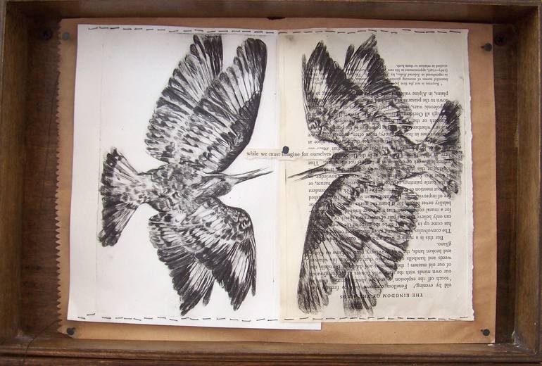 Four winged bird study Painting by Robyn Brandrick | Saatchi Art