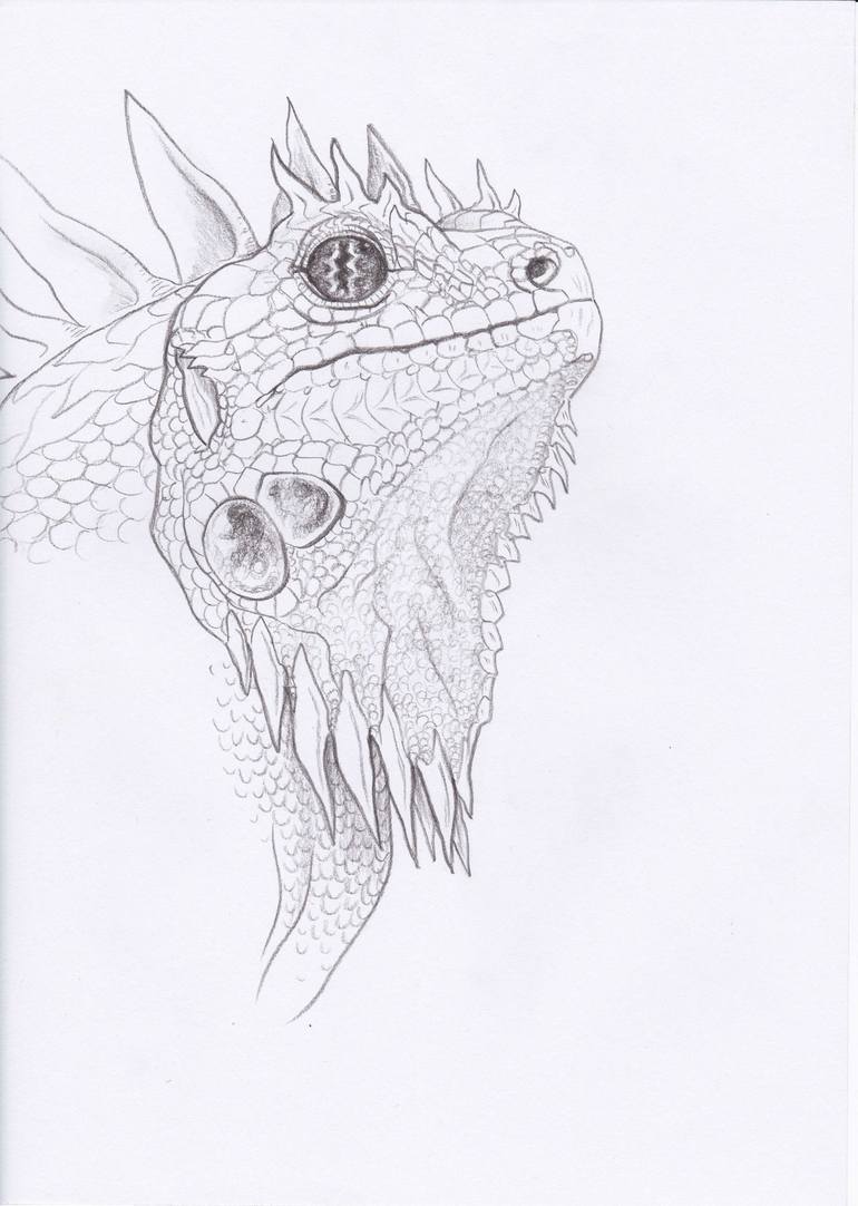 Dragonized Iguana Drawing by Sharon Jones | Saatchi Art