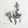 Equine Nude 10p Drawing by Benedicte Gele | Saatchi Art