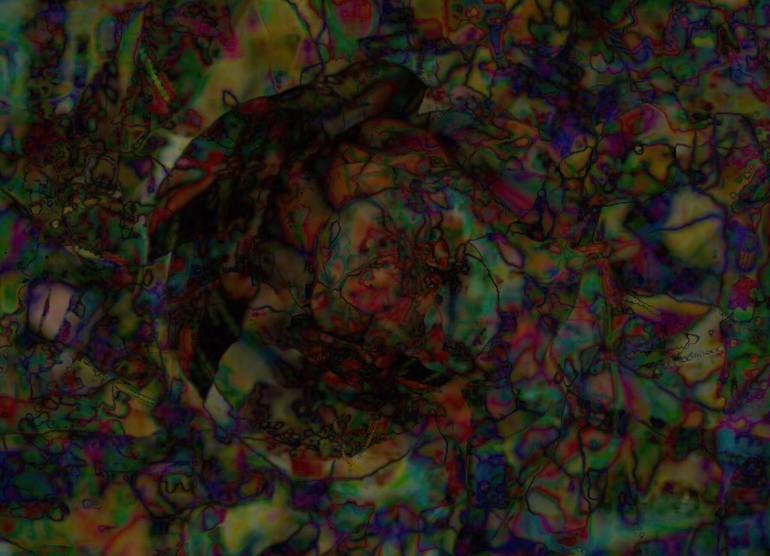 Shell Creation Expression of Structural form - Limited Edition of 1 ...