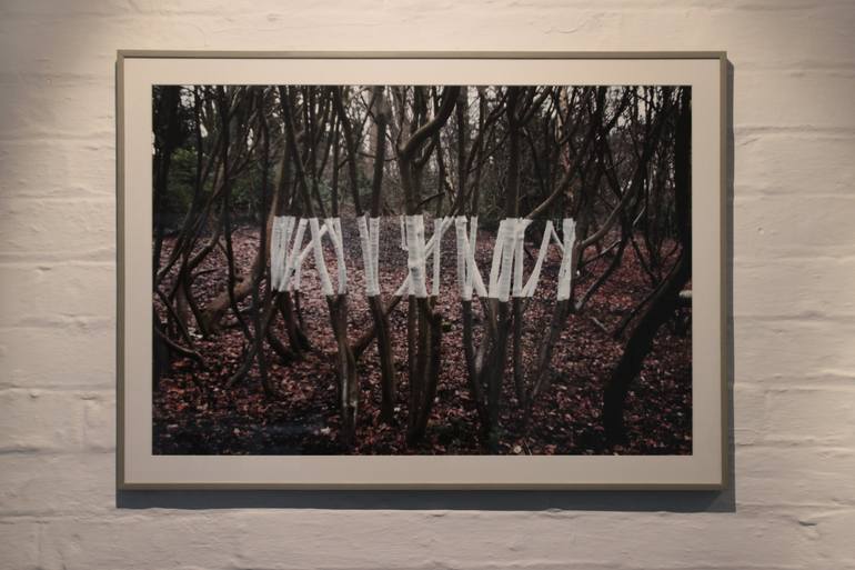 Wrapped Trees Photography by Rachael Kidd | Saatchi Art