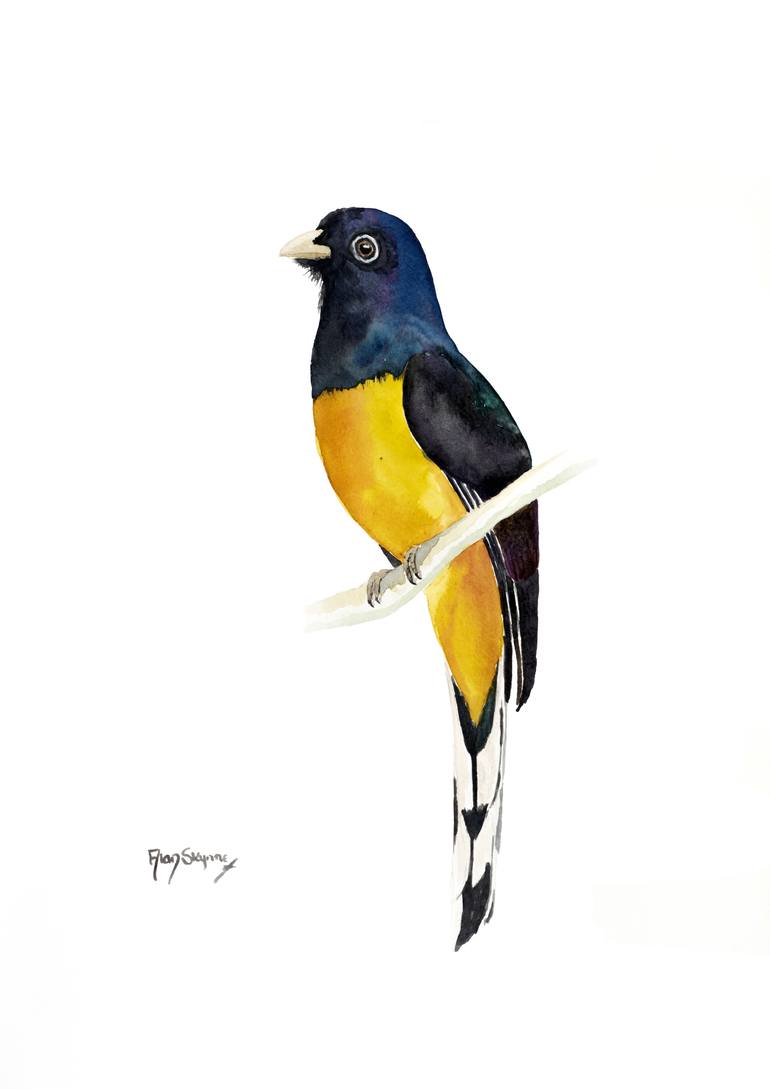 Green-backed Trogon (asg00272) Painting by Alan S Skyrme | Saatchi Art