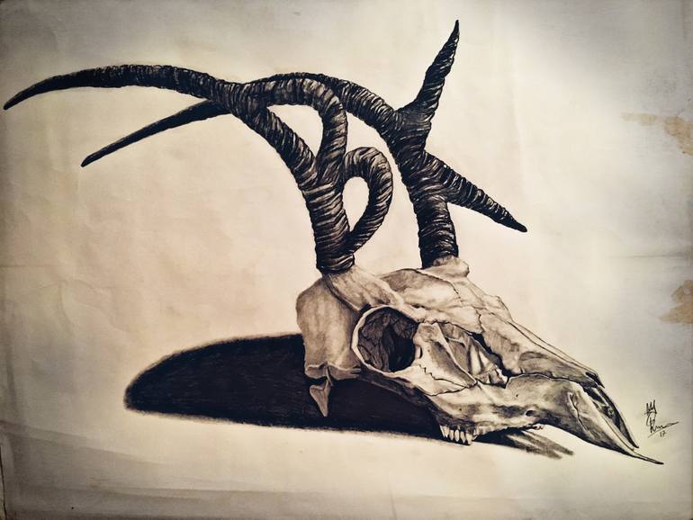 ANTeLOPE Drawing by Carlos Romano | Saatchi Art