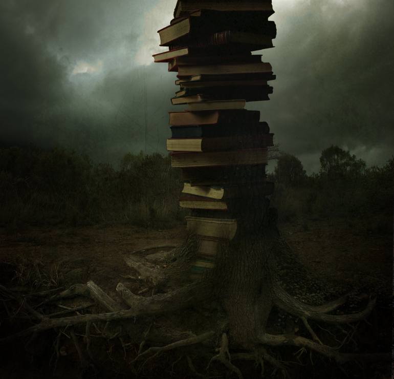Tree of Knowledge Photography by Fern Evans | Saatchi Art