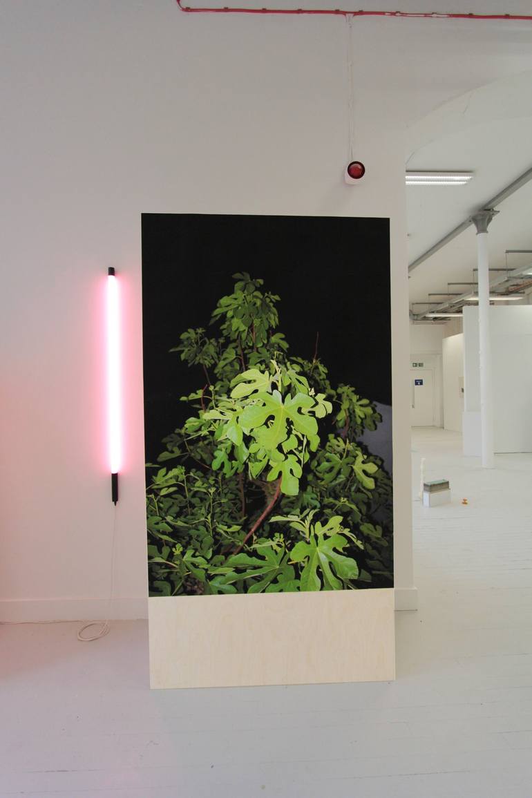 FIG Sculpture by Max Bainbridge | Saatchi Art