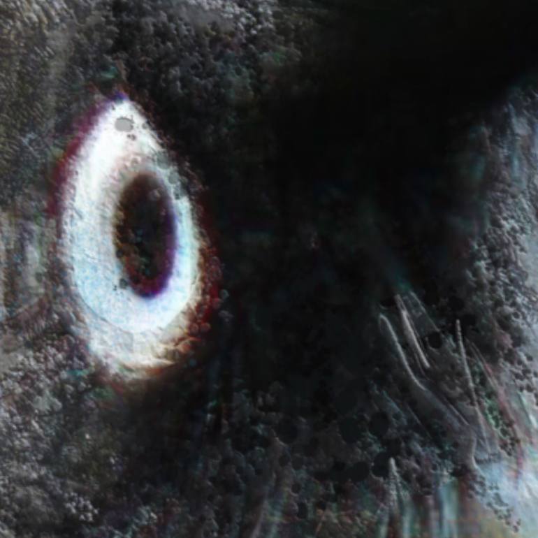 Crow Painting by Ant Fox | Saatchi Art