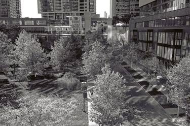 Brian Sesack | Saatchi Art