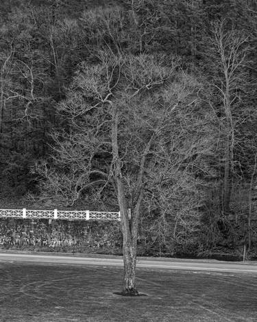 Brian Sesack | Saatchi Art