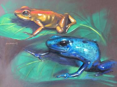 Poison Frogs Drawing by Andrew McGeachy | Saatchi Art