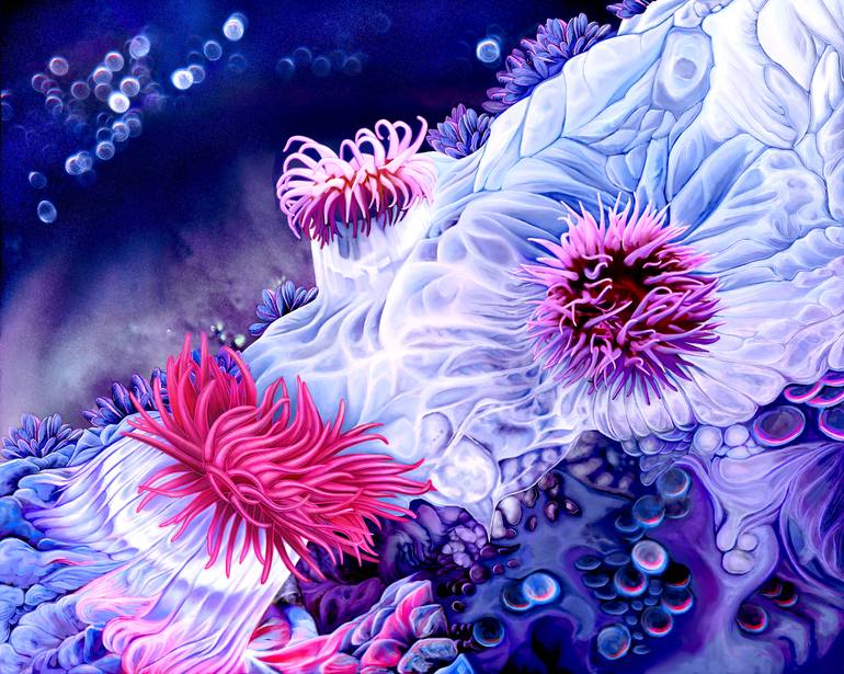 Ice Encrusted Anemones Painting by May Turner | Saatchi Art