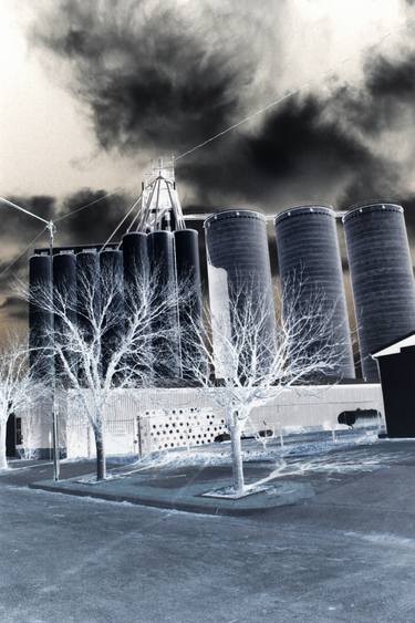 Kaley Rhodes Artworks | Saatchi Art