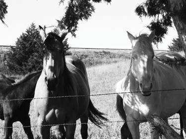 Kaley Rhodes Artworks | Saatchi Art