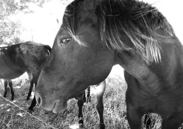 Kaley Rhodes Artworks | Saatchi Art