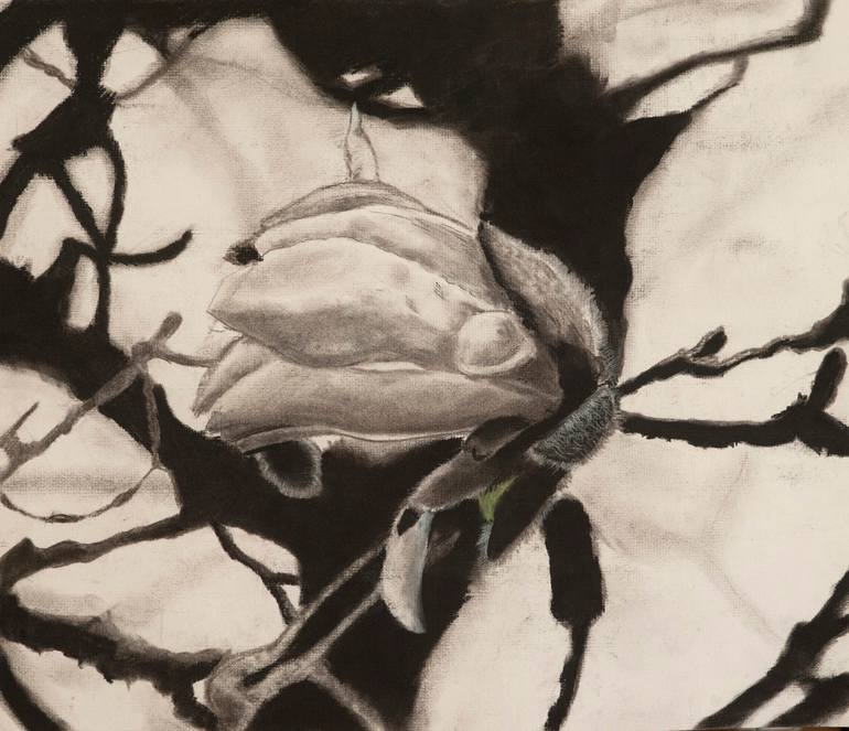 Blooming Essence Drawing by Julia Lebedeva | Saatchi Art