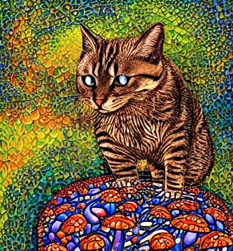 Focussing Cat Photography by George Hunter | Saatchi Art