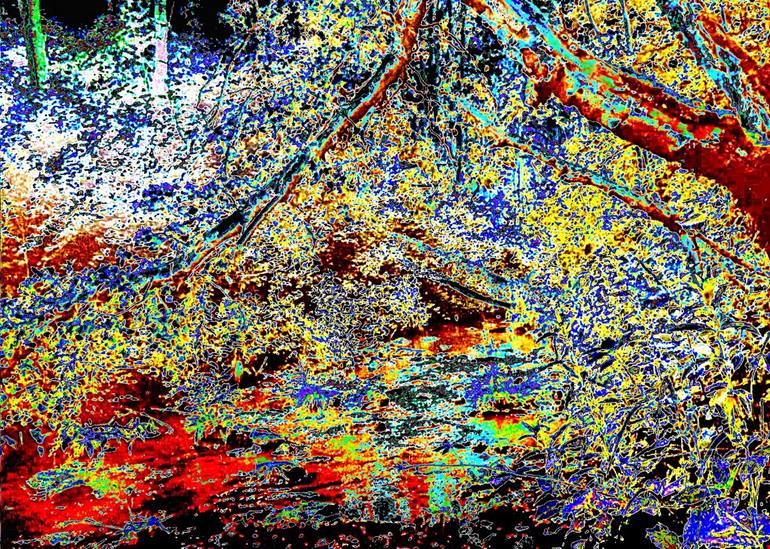 Whittle Dene in Autumn Photography by George Hunter | Saatchi Art