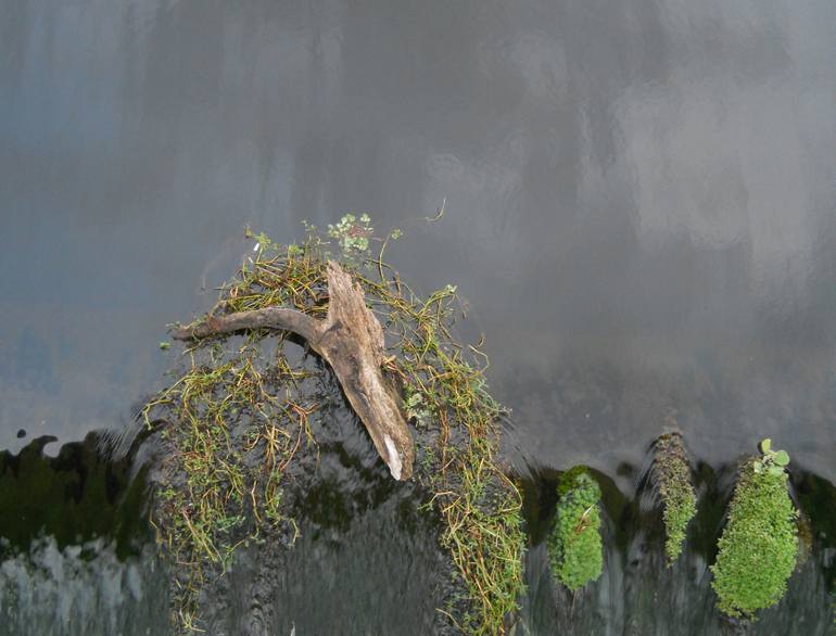 Log Jam at the Dam #23 Photography by Virginia A Zuelsdorf | Saatchi Art