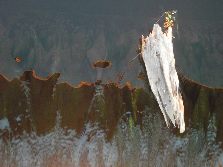 Log Jam at the Dam #20 Photography by Virginia A Zuelsdorf | Saatchi Art