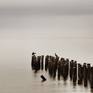 Pier - Limited Edition 1 of 10 Photography by claudia cebrian | Saatchi Art